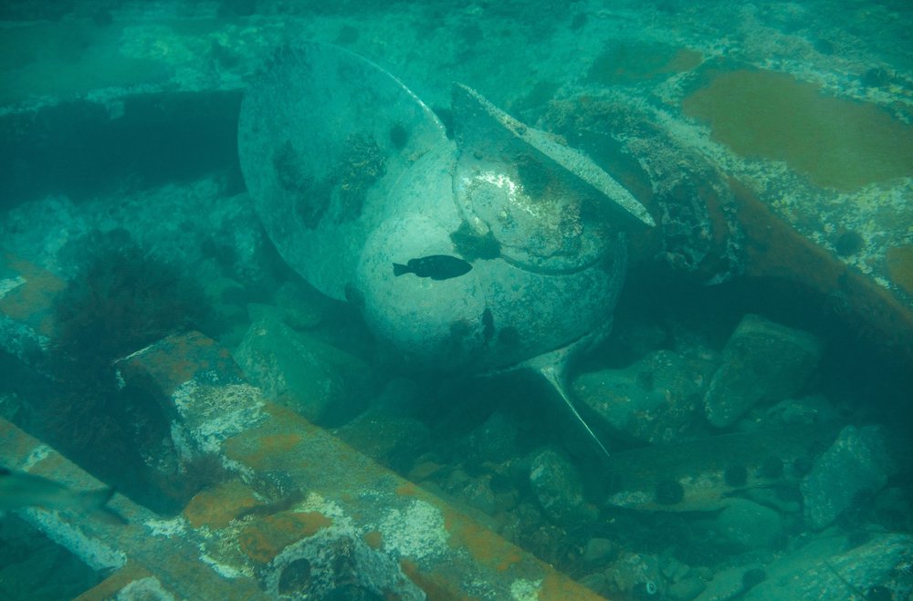 Z bezcenného vraku mimořádný objev – potápěči identifikovali ponorku HMS D1