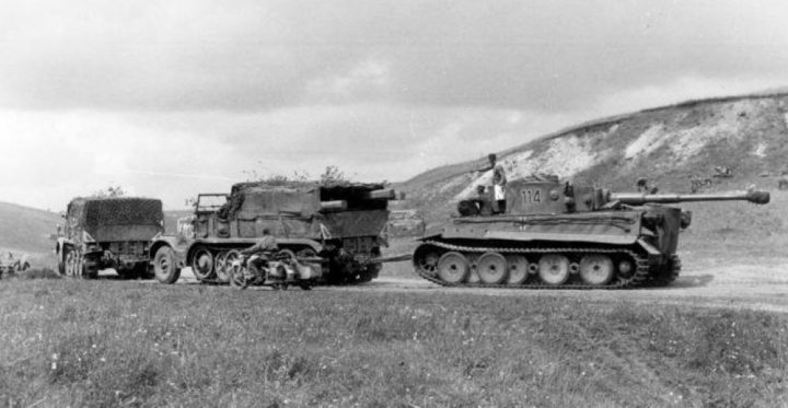 Tiger I bojoval skvěle, jeho cena však byla astronomická